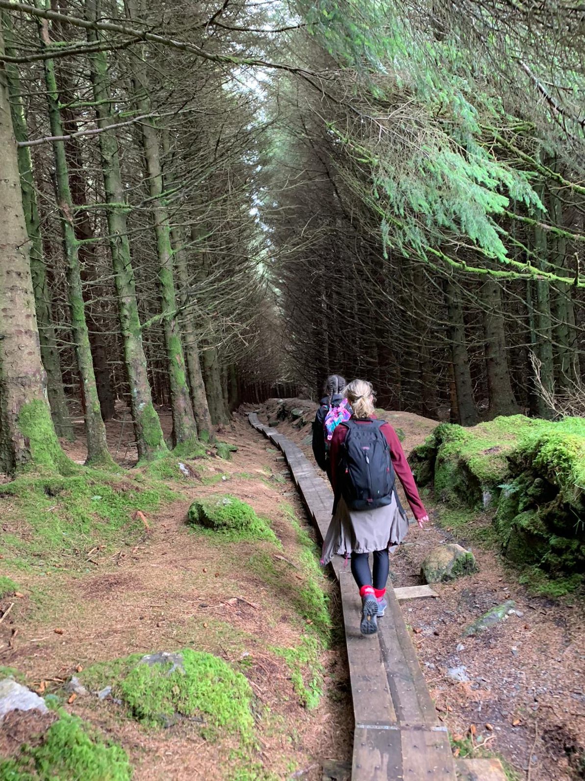 Gaisce Silver Award Students | Institute of Education