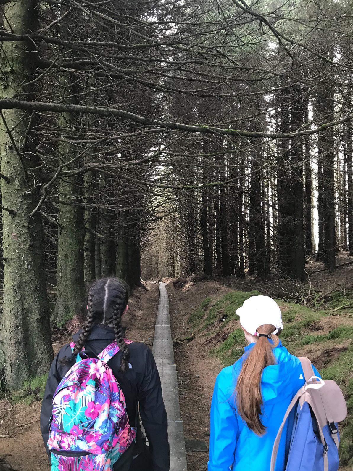 Gaisce Silver Award Students | Institute of Education