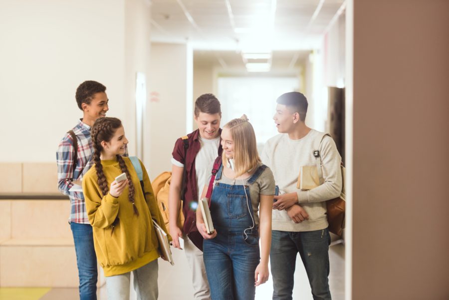 Grinds Dublin | 2nd - 6th Year Students | The Institute of Education