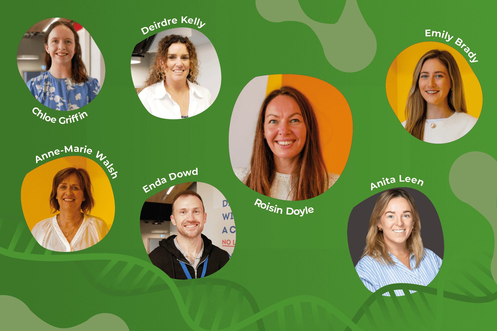 The Biology Bible | Leaving Cert Biology Guide -Top Revision Notes